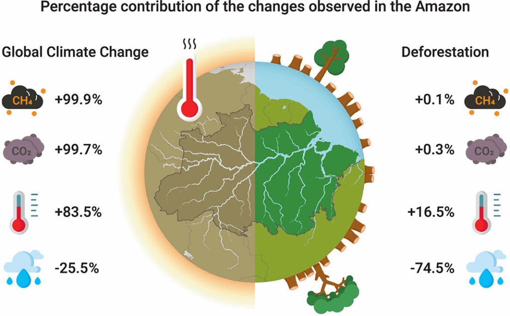 New study: Deforestation (responsible for 74% of dry season rainfall ...